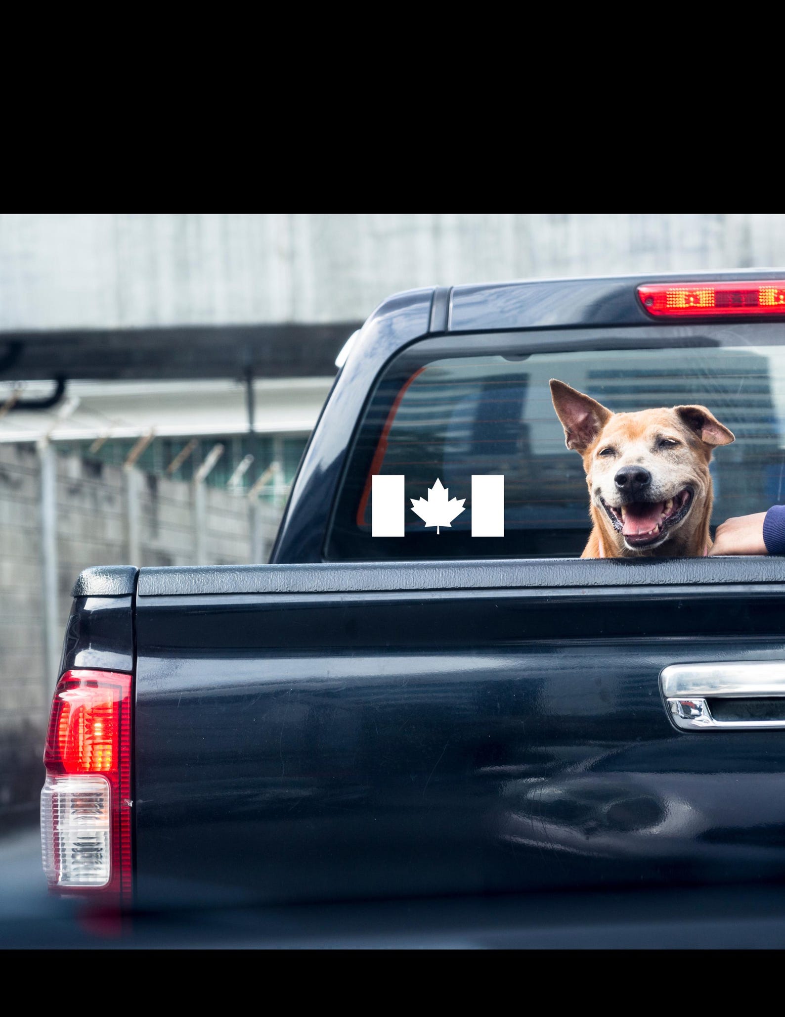 Canada Flag Vinyl Decal: Weatherproof Maple Leaf Sticker - Etsy