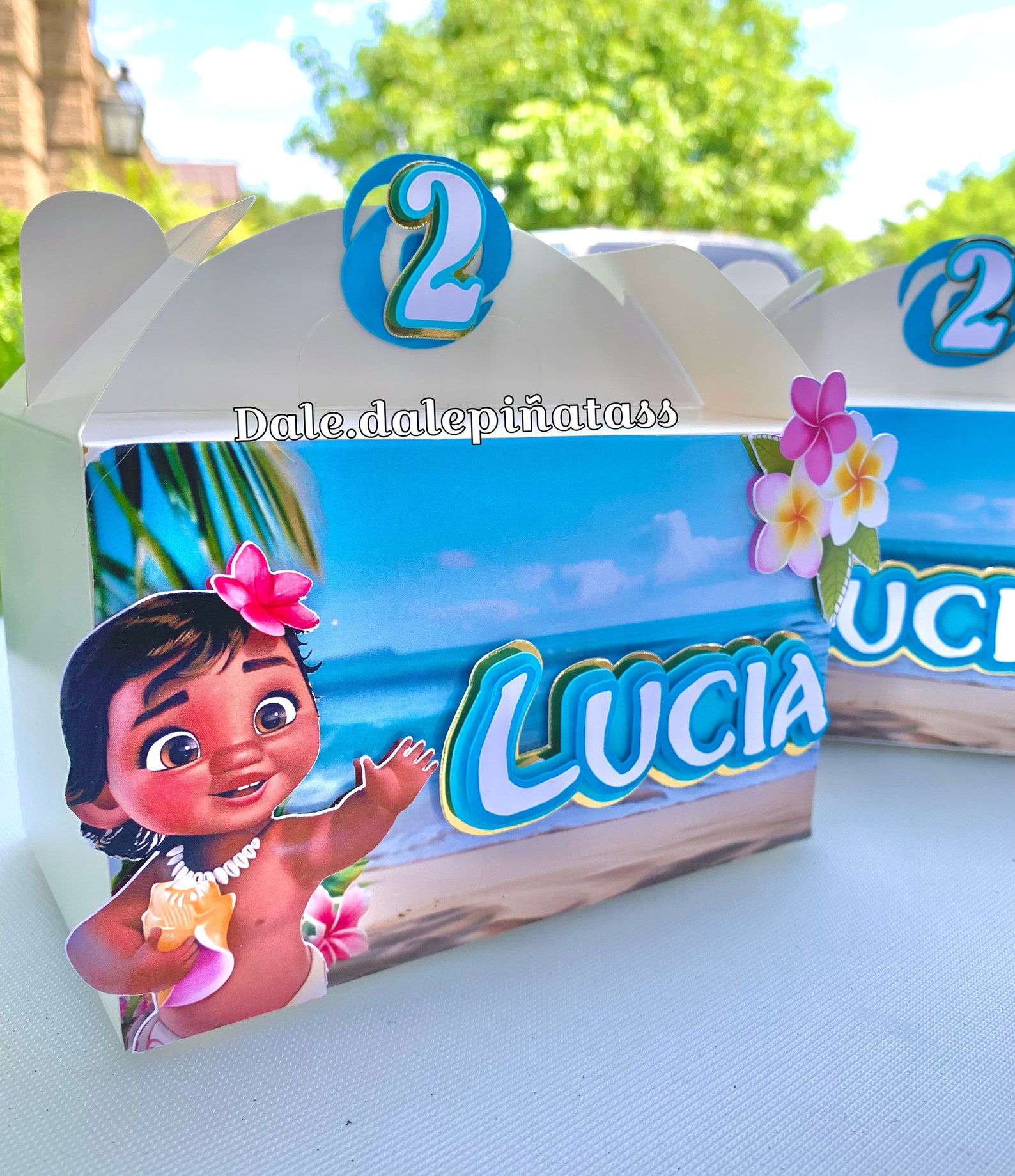Moana Party Favor Boxes Moana Party Boxes Parth Gable Boxes Party Boxes ...