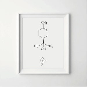 Vodka Whiskey Gin and Rum Molecules Wall Art Set of 4 Prints Bar ...