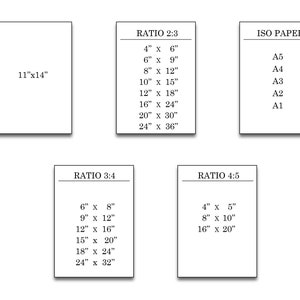 Cavoodle Dog Line Art Drawing, Dog Sketch From Photo, Line Art, Dog ...