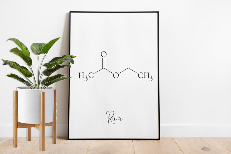 Vodka Whiskey Gin and Rum Molecules Wall Art Set of 4 Prints | Etsy