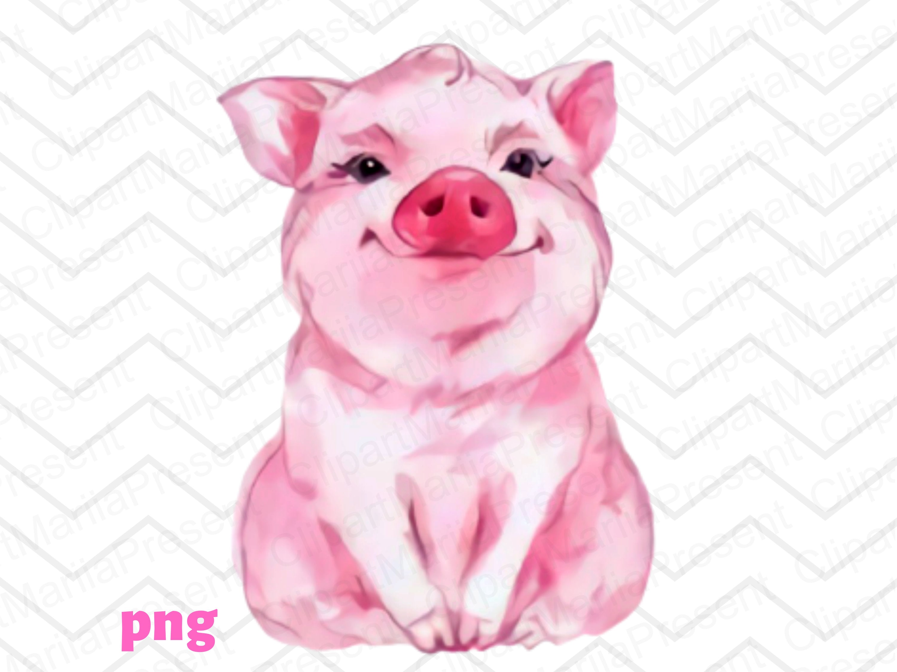 Baby Pig Clipart