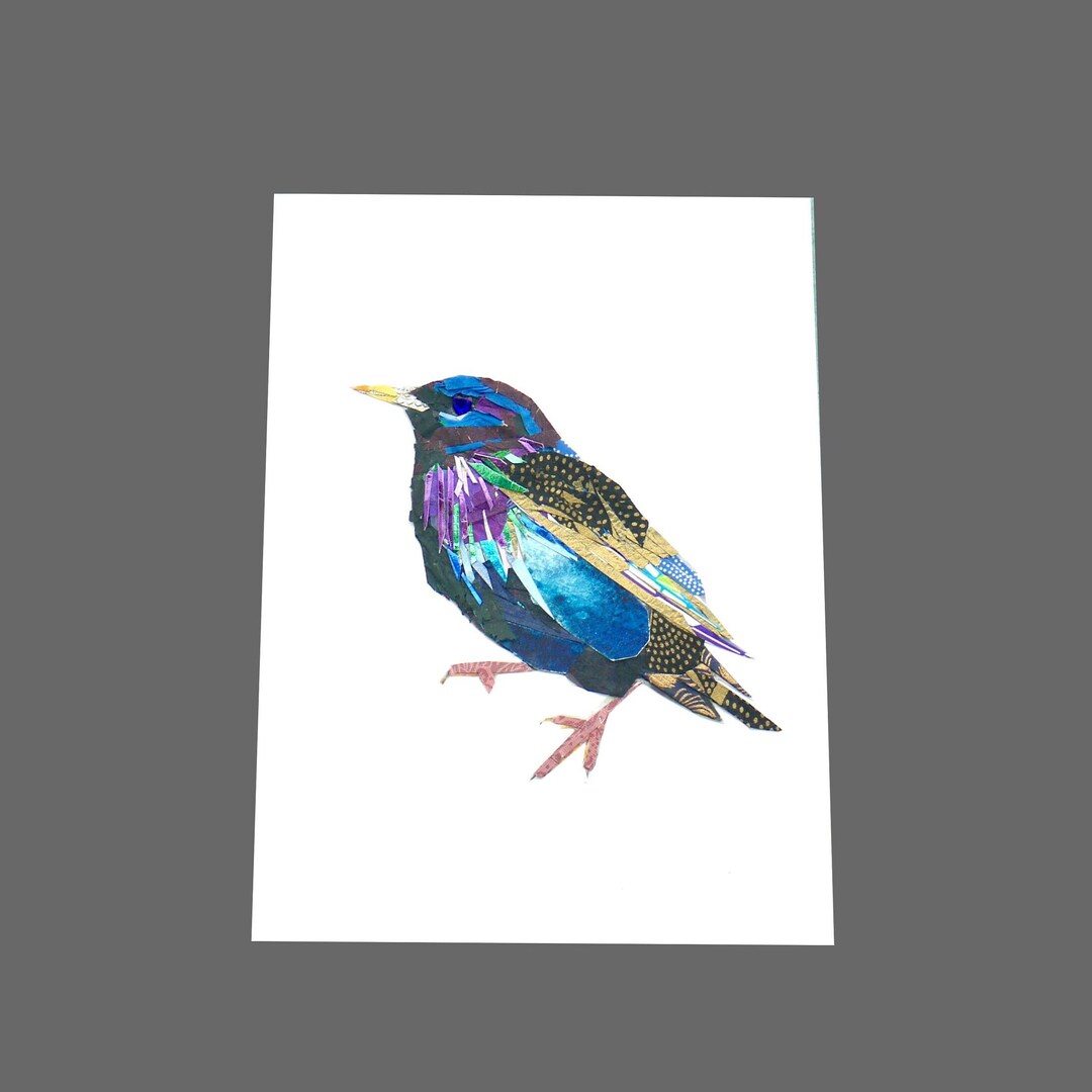 8 X 6 Handmade Greeting Card With Starling Bird Collage - Etsy