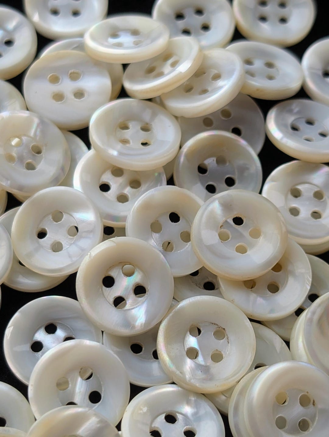 Lot of 8 or 20 Pcs MOP Mother of Pearl 4 Hole 5/8" 16mm Troca Shell ...