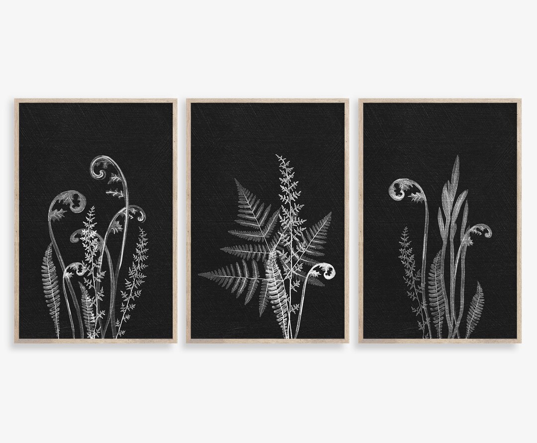 Fern Art Print Set: Black & White Botanical Wall Art (digital Download ...