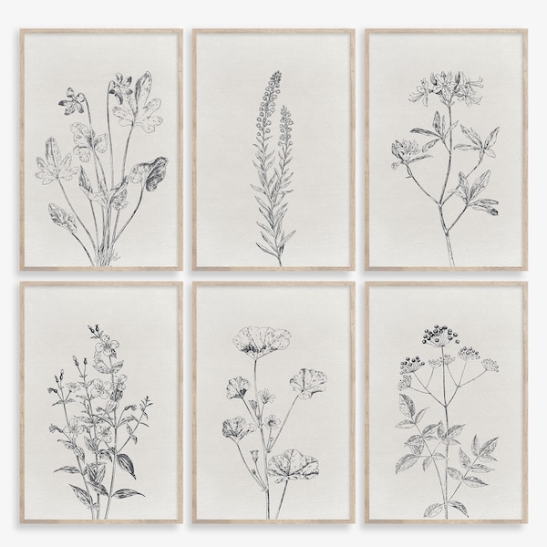 Large Botanical Prints - Etsy
