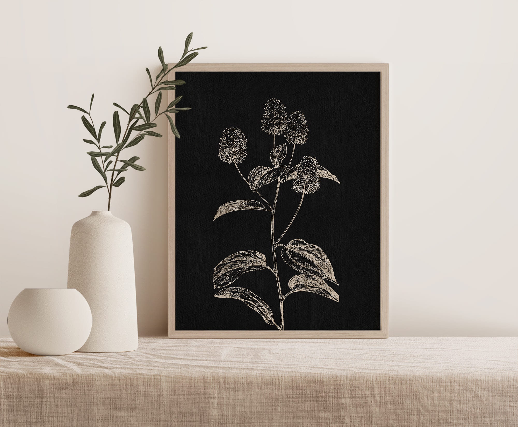 Botanical Prints Set of 6 Prints Black Botanical Wall Art - Etsy
