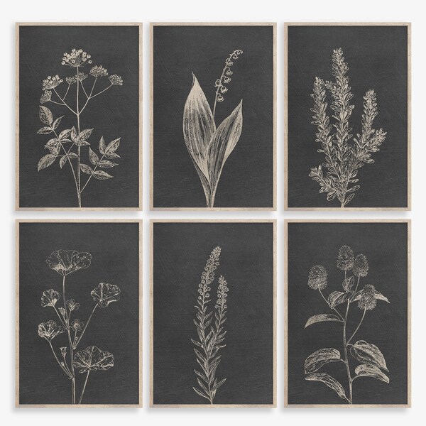 Botanical Print Set - Etsy