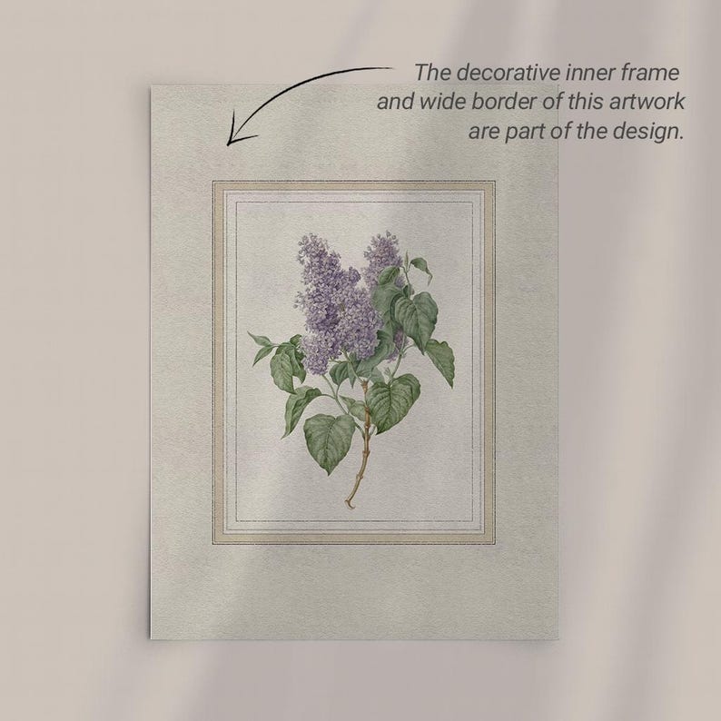 Lilac Botanical Illustration | Classic European Vintage Wall Art ...