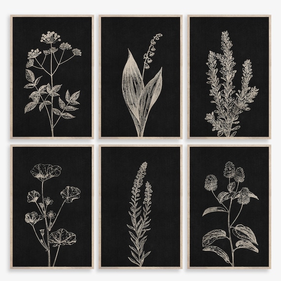 Botanical Prints Set of 6 Prints Black Botanical Wall Art - Etsy