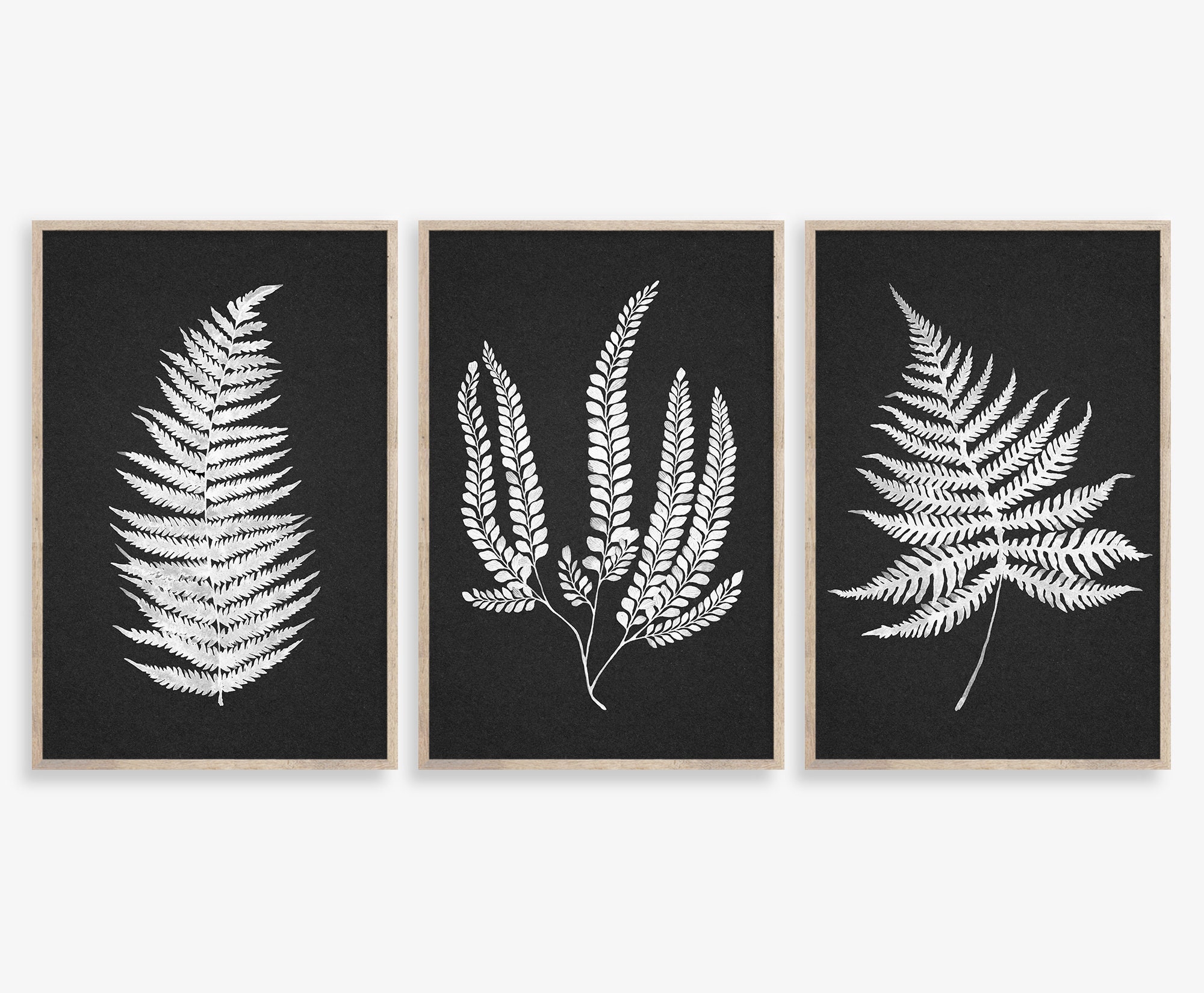 Fern Prints Set of 3 Prints Botanical Wall Art Black | Etsy