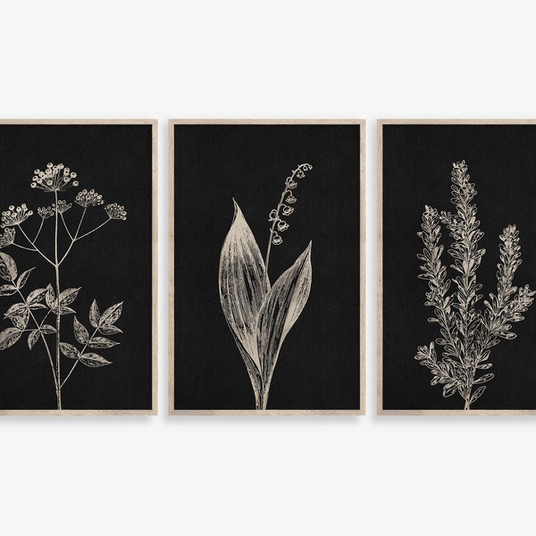 Large Botanical Prints - Etsy