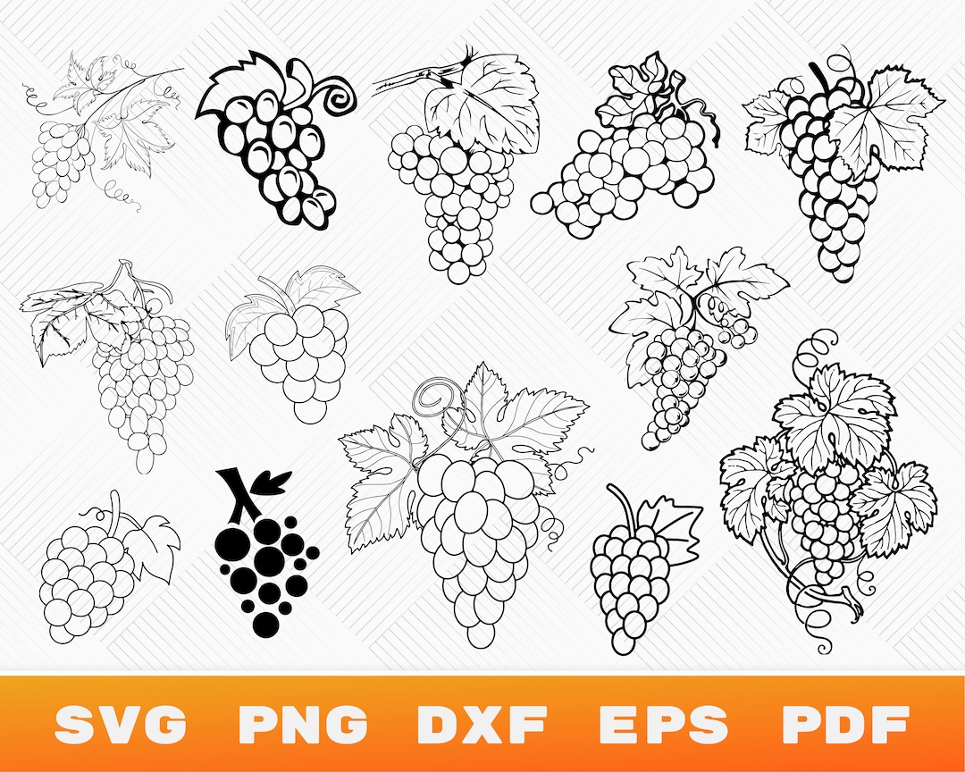 Vine Svg, Grape Leaves SVG, Grape Clipart, Grape Silhouette, Fruit Svg ...