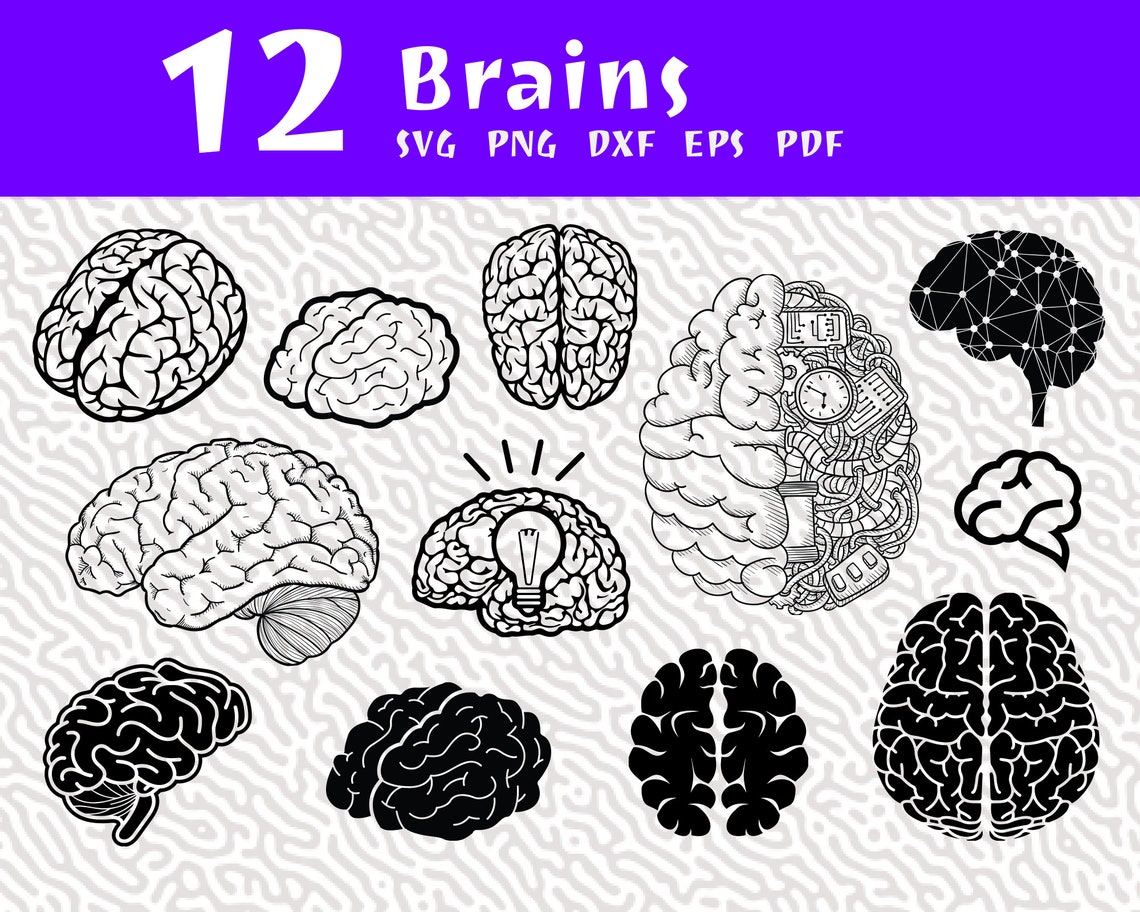 Brain SVG Human Brain Svg Brain Clipart Mind Svg Mom Brain | Etsy