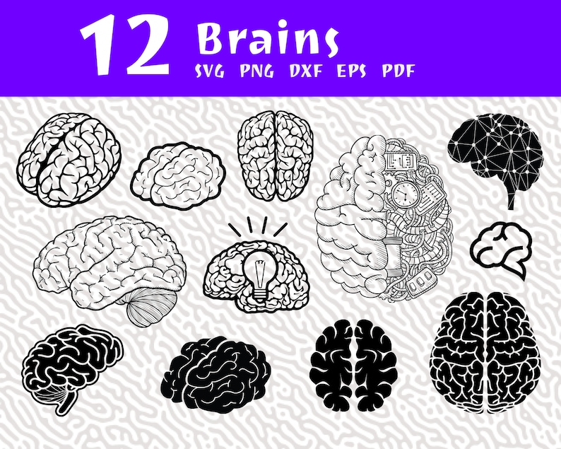 Brain SVG Human Brain Svg Brain Clipart Mind Svg Mom Brain | Etsy
