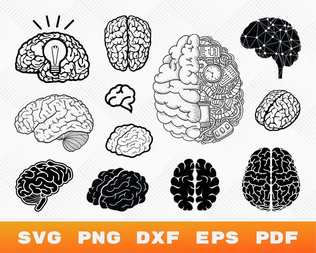Brain SVG, Human Brain Svg, Brain Clipart, Brain Cricut, Brain ...