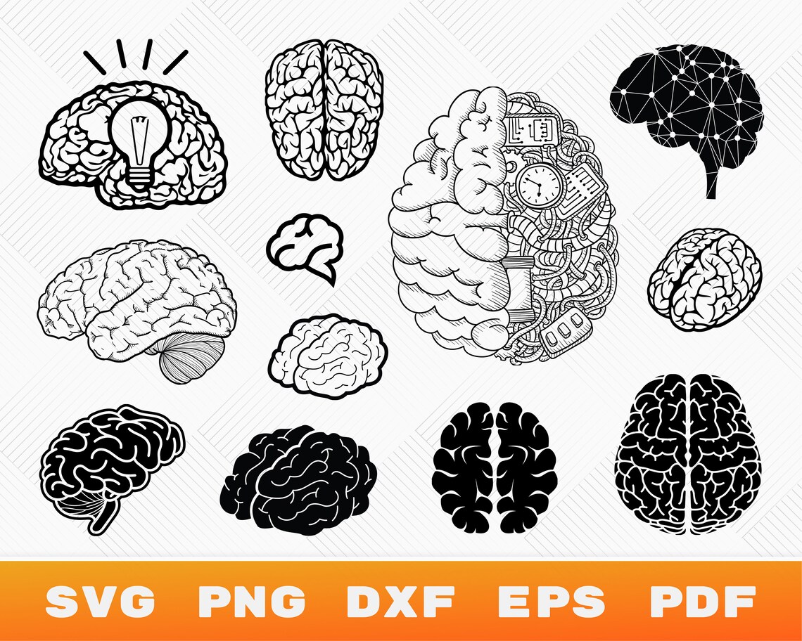 Brain SVG Human Brain Svg Brain Clipart Mind Svg Brain - Etsy