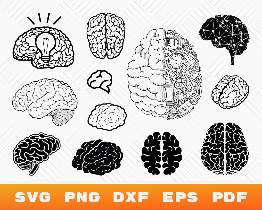 Brain SVG Human Brain Svg Brain Clipart Brain (Download Now) - Etsy