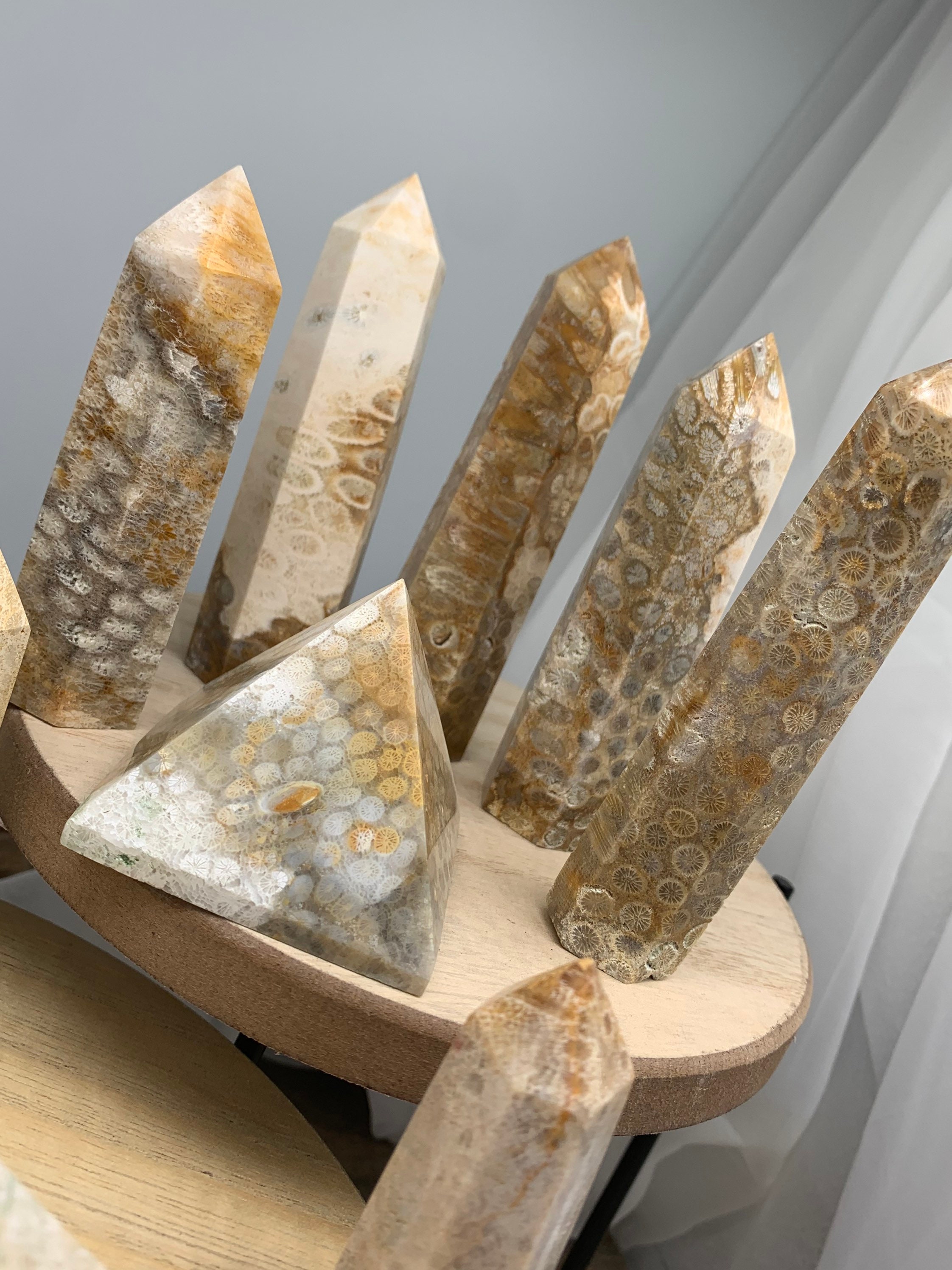 Coral Jasper Coral Jasper Towers Fossils Fossil Jasper | Etsy Canada
