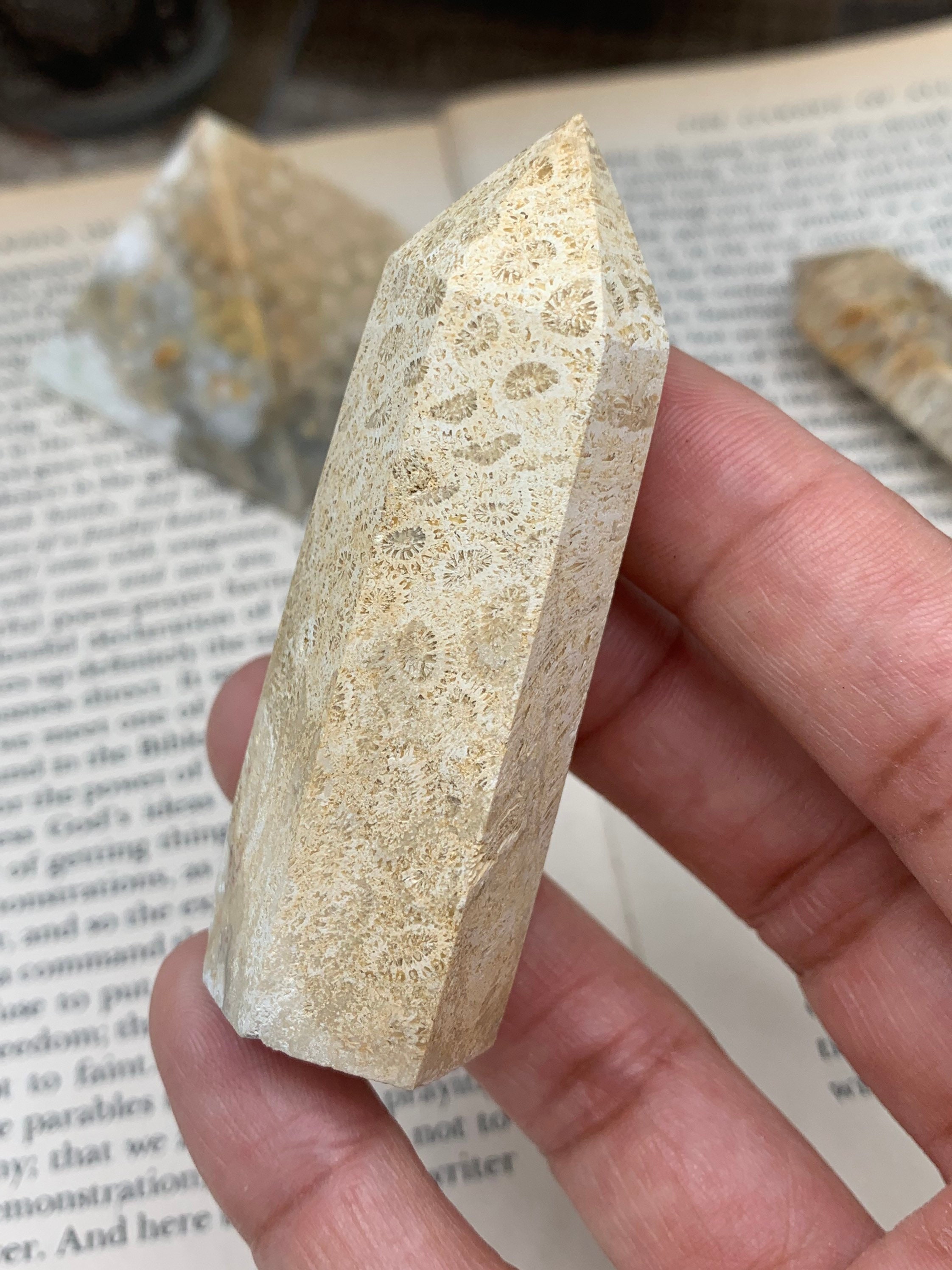 Coral Jasper Coral Jasper Towers Fossils Fossil Jasper | Etsy Canada