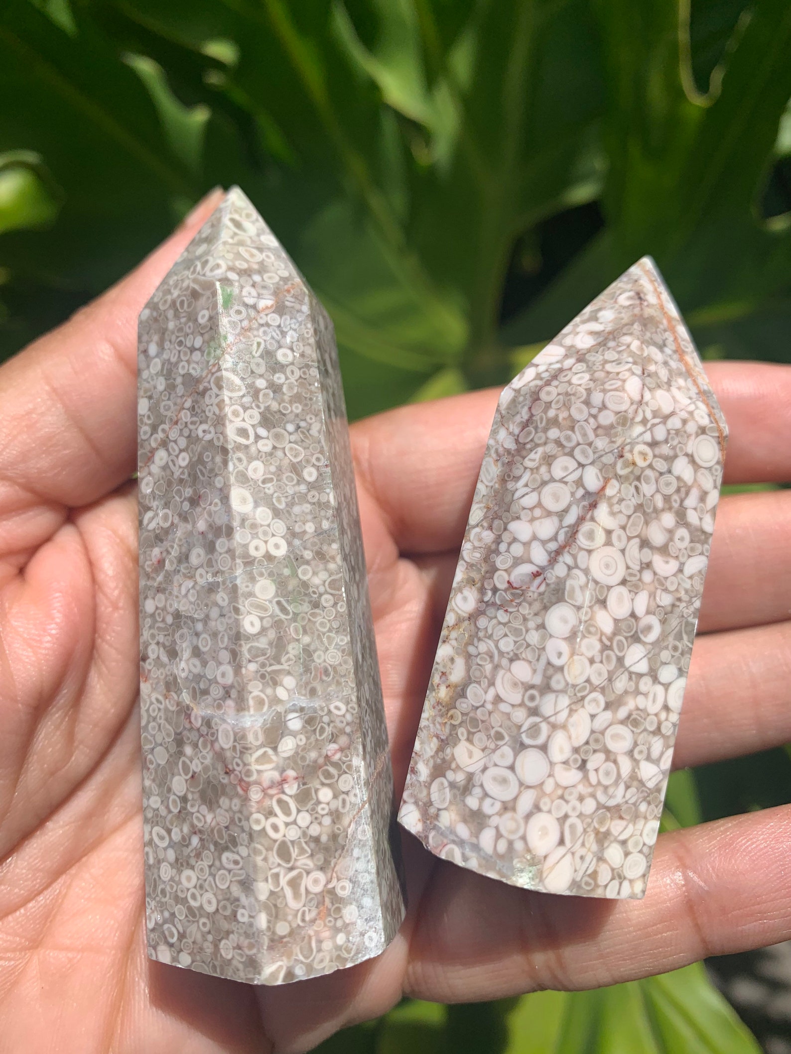 Fossilized Coral Jasper Tower Coral Jasper Coral Jade - Etsy