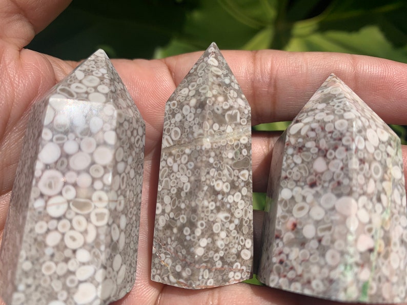 Fossilized Coral Jasper Tower Coral Jasper Coral Jade - Etsy