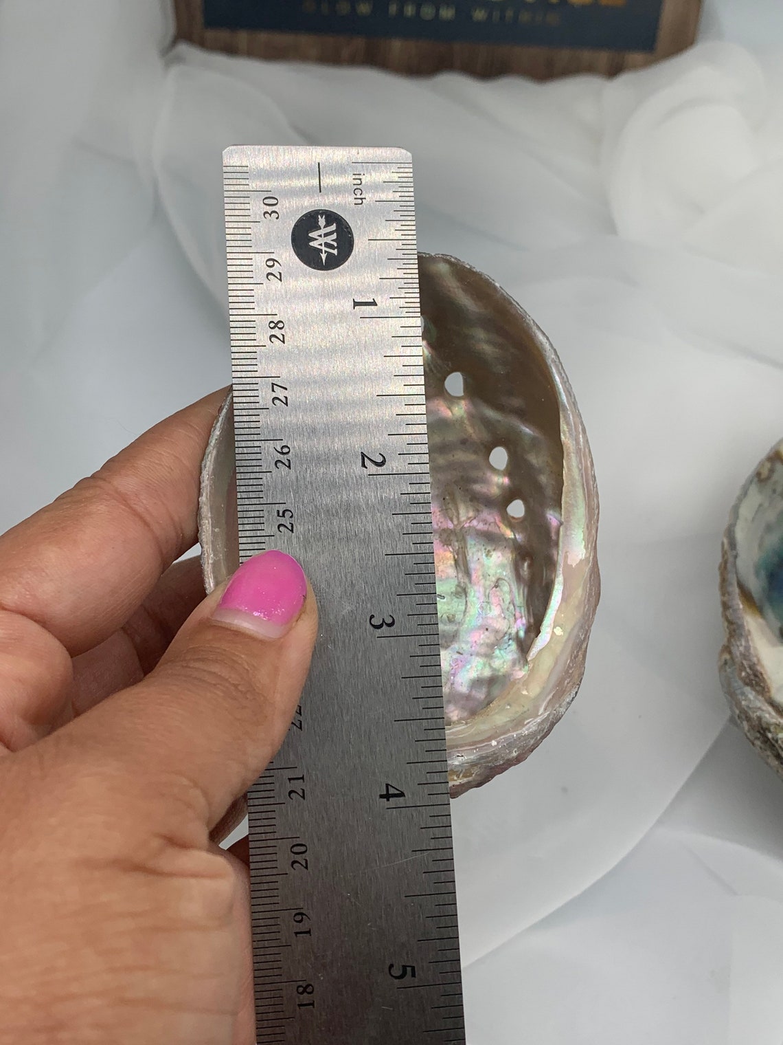 Abalone Shells Shell Smudging Bowls Sea Shell Bowls - Etsy