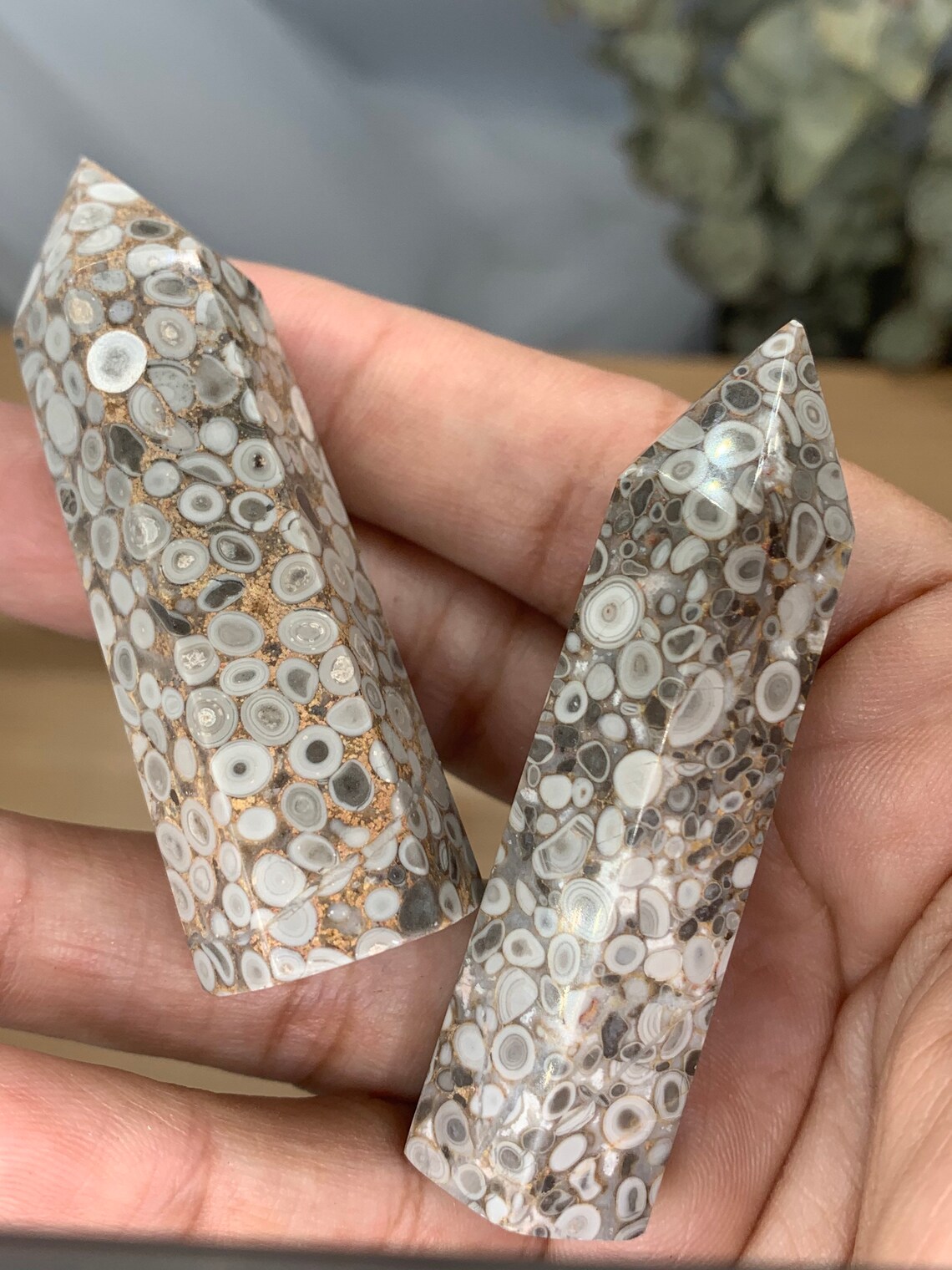 Fossilized Coral Jasper Tower Coral Jasper Coral Jade | Etsy