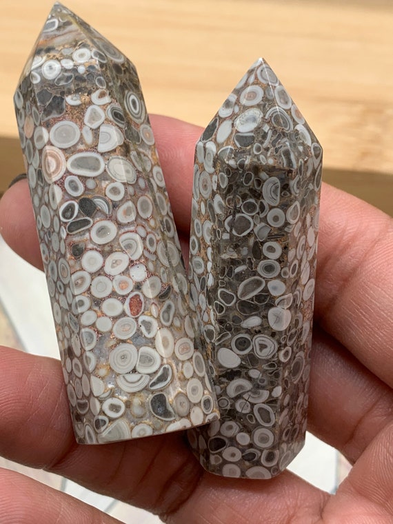 Fossilized Coral Jasper Tower Coral Jasper Coral Jade | Etsy