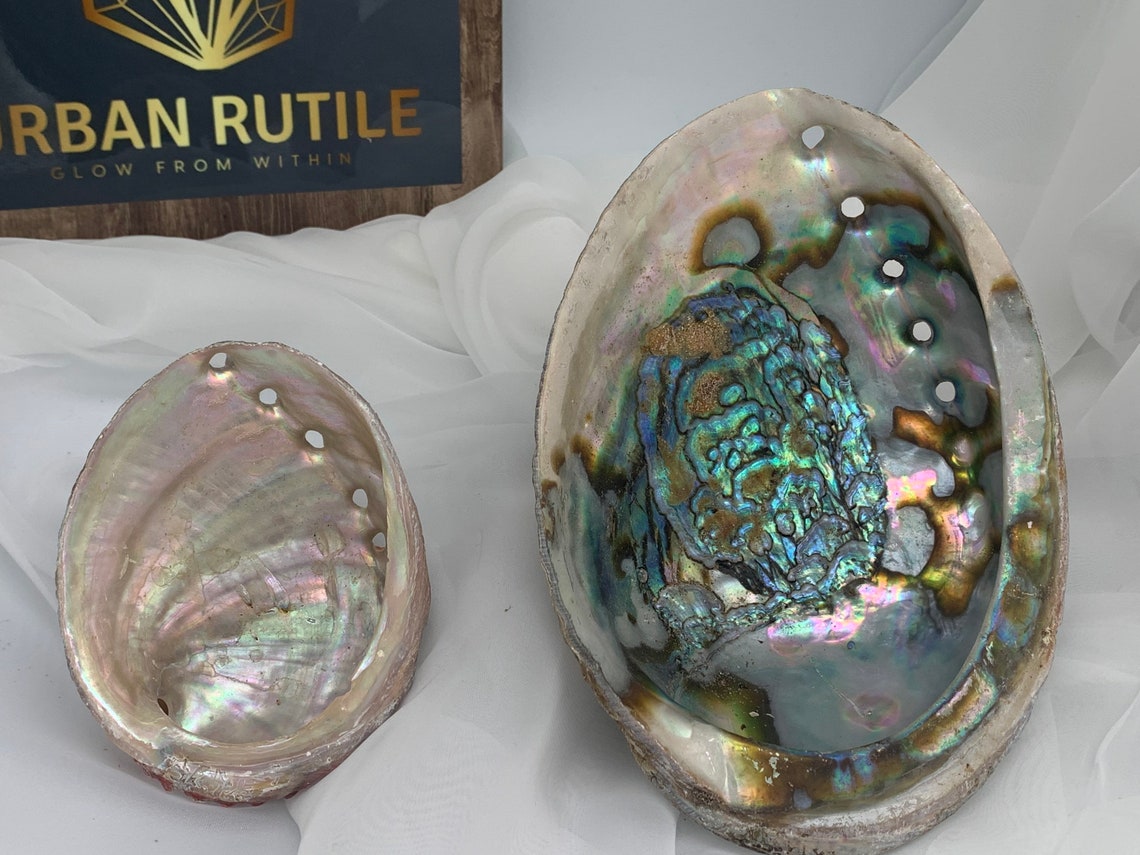 Abalone Shells Shell Smudging Bowls Sea Shell Bowls - Etsy