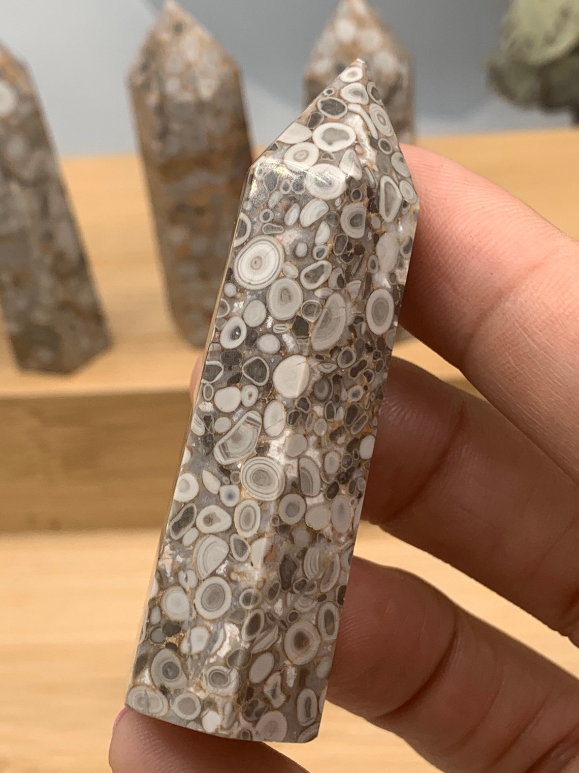 Fossilized Coral Jasper Tower Coral Jasper Coral Jade | Etsy