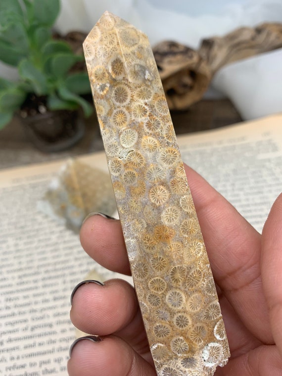 Coral Jasper Coral Jasper Towers Fossils Fossil Jasper | Etsy