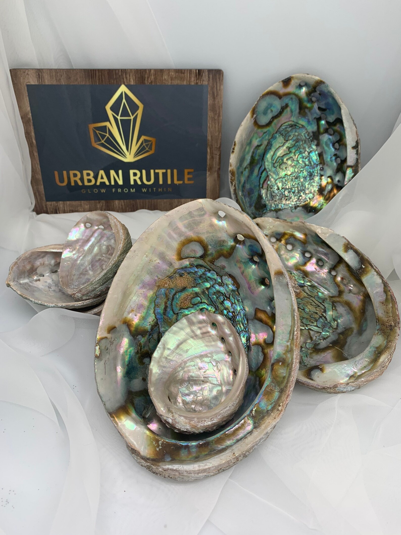 Abalone Shells Shell Smudging Bowls Sea Shell Bowls - Etsy