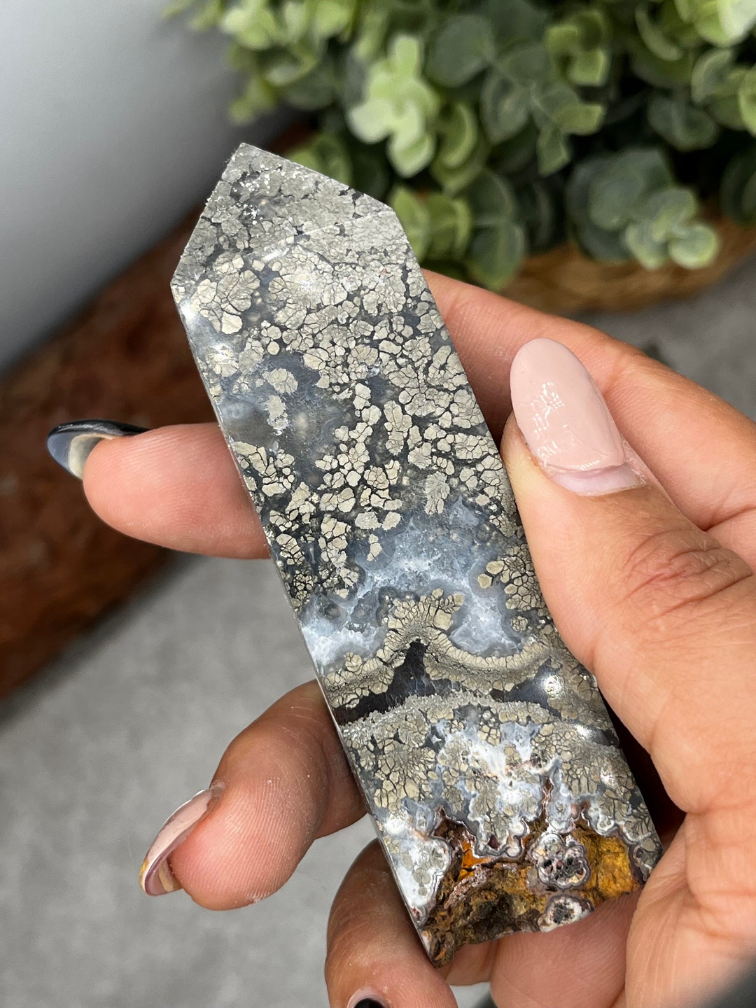 Nipomo Marcasite • Nipomo Agate • Marcasite Agate • Marcasite • Pyrite ...