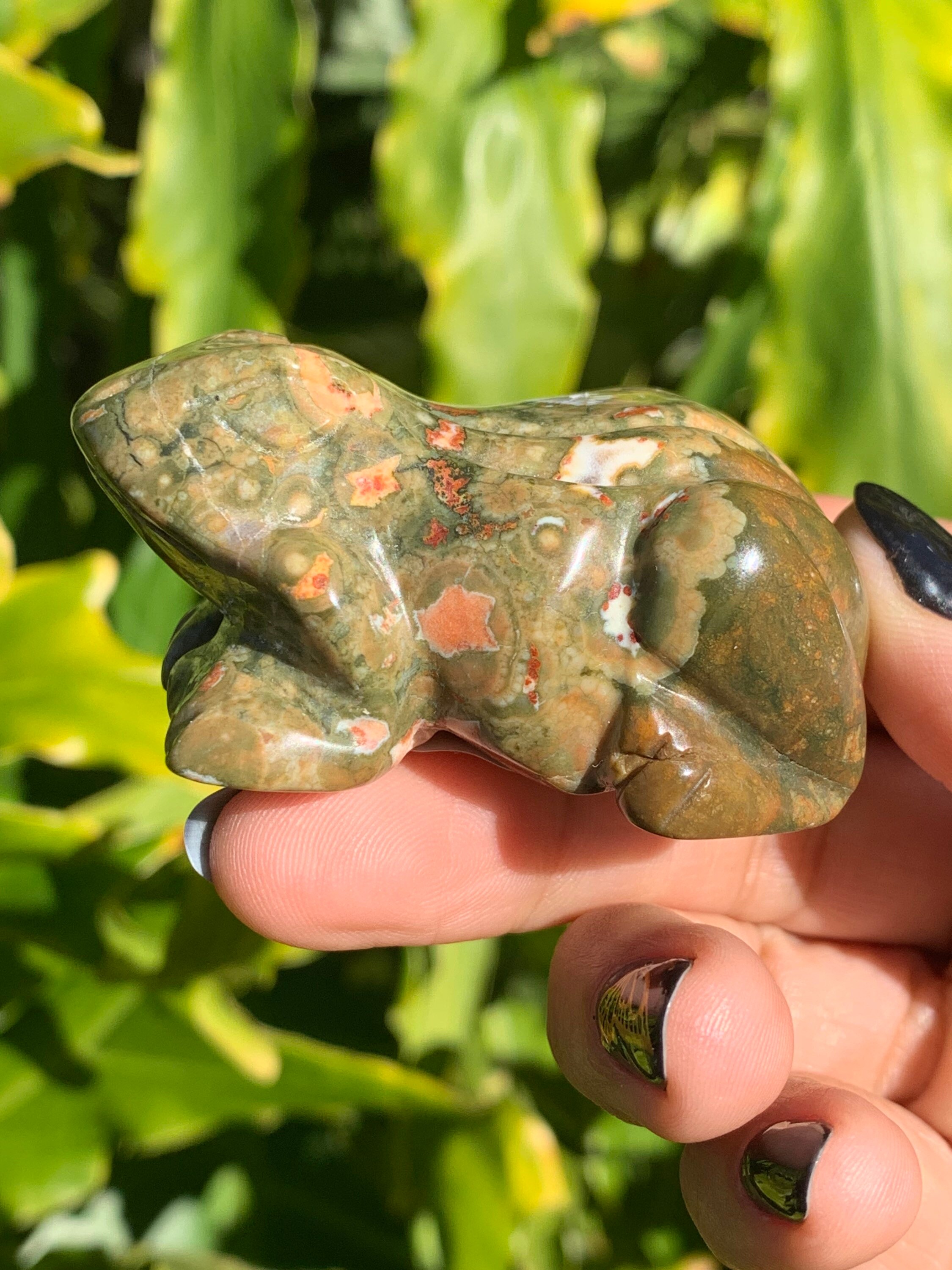 Rainforest Jasper Rainforest Jasper Frog Rainforest Jasper - Etsy Ireland