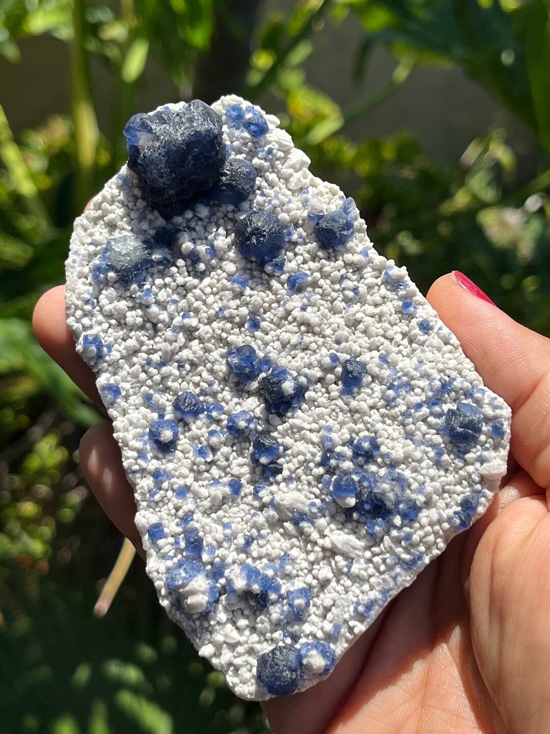 Blueberry Fluorite • Blue Fluorite on White Quartz • Rare Crystals ...
