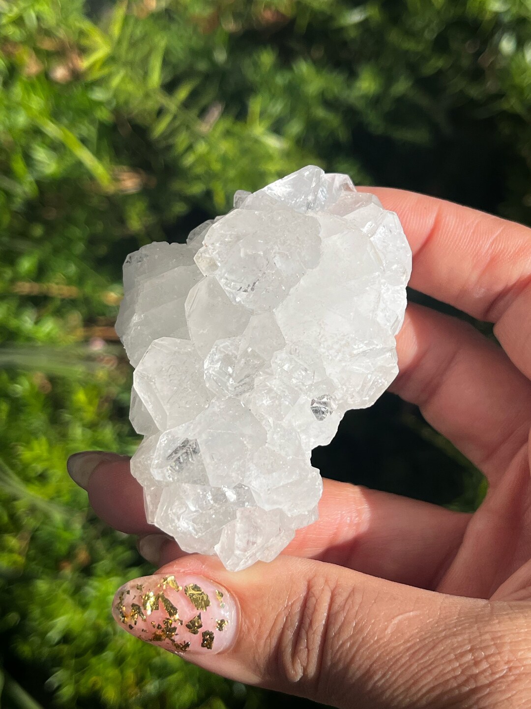 Apophyllite Apophyllite Cluster Apotholite Apotholite Crystal Cluster ...