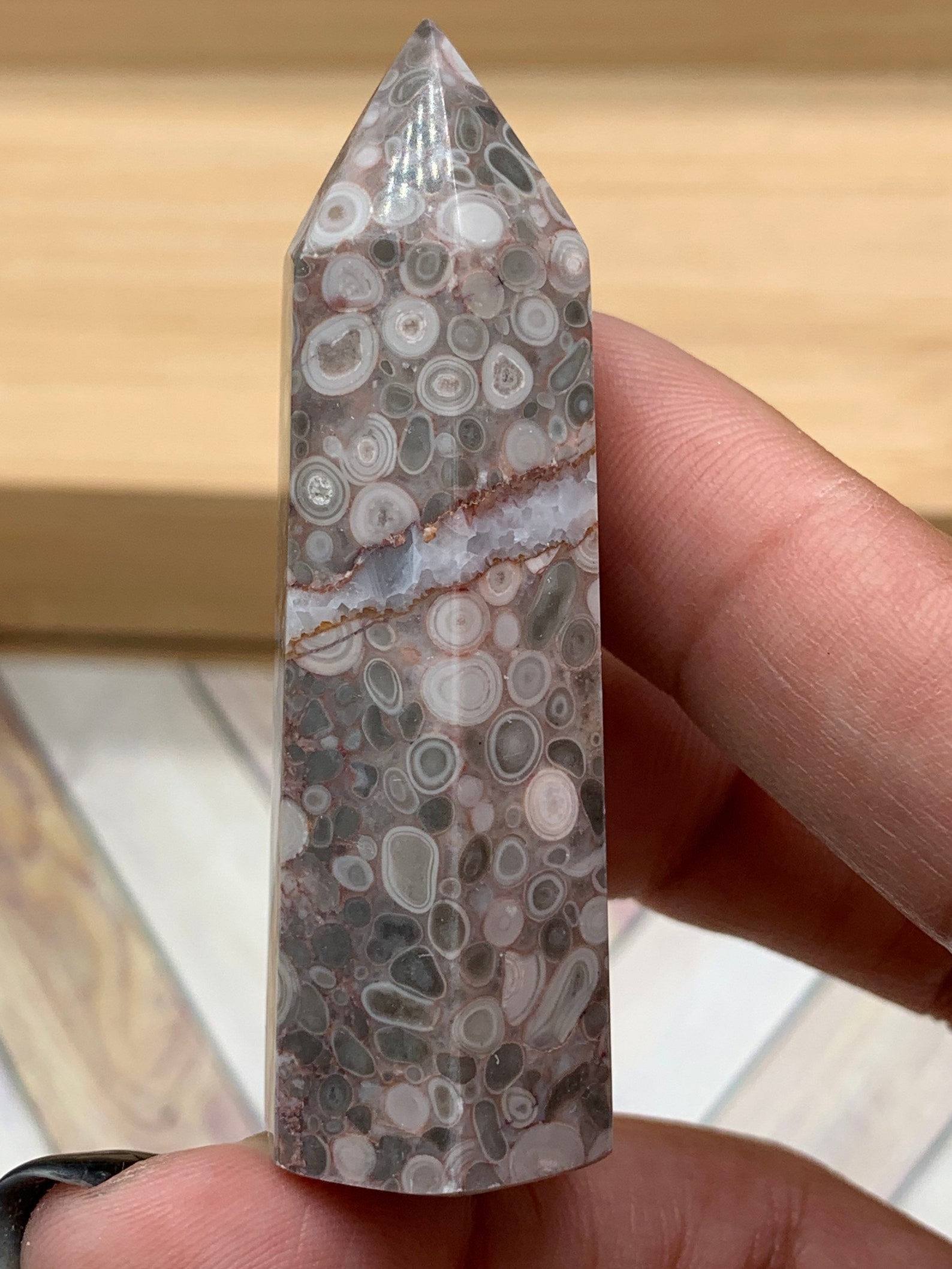 Fossilized Coral Jasper Tower Coral Jasper Coral Jade | Etsy