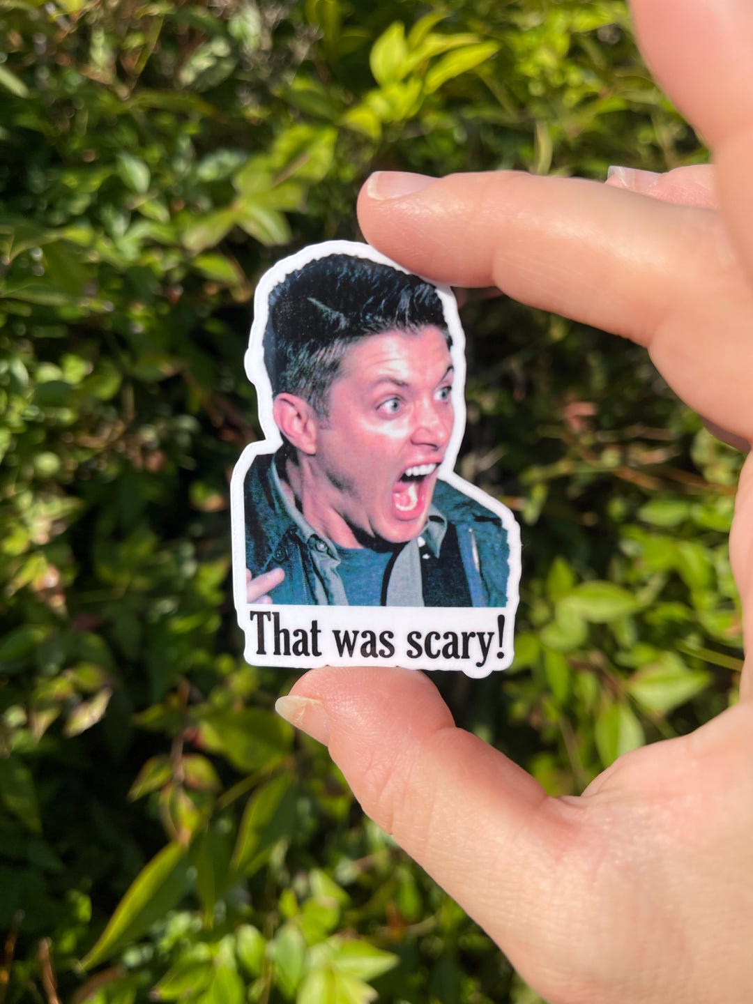 That Was Scary!, Funny Dean Winchester, Supernatural, Vinyl Sticker - Etsy