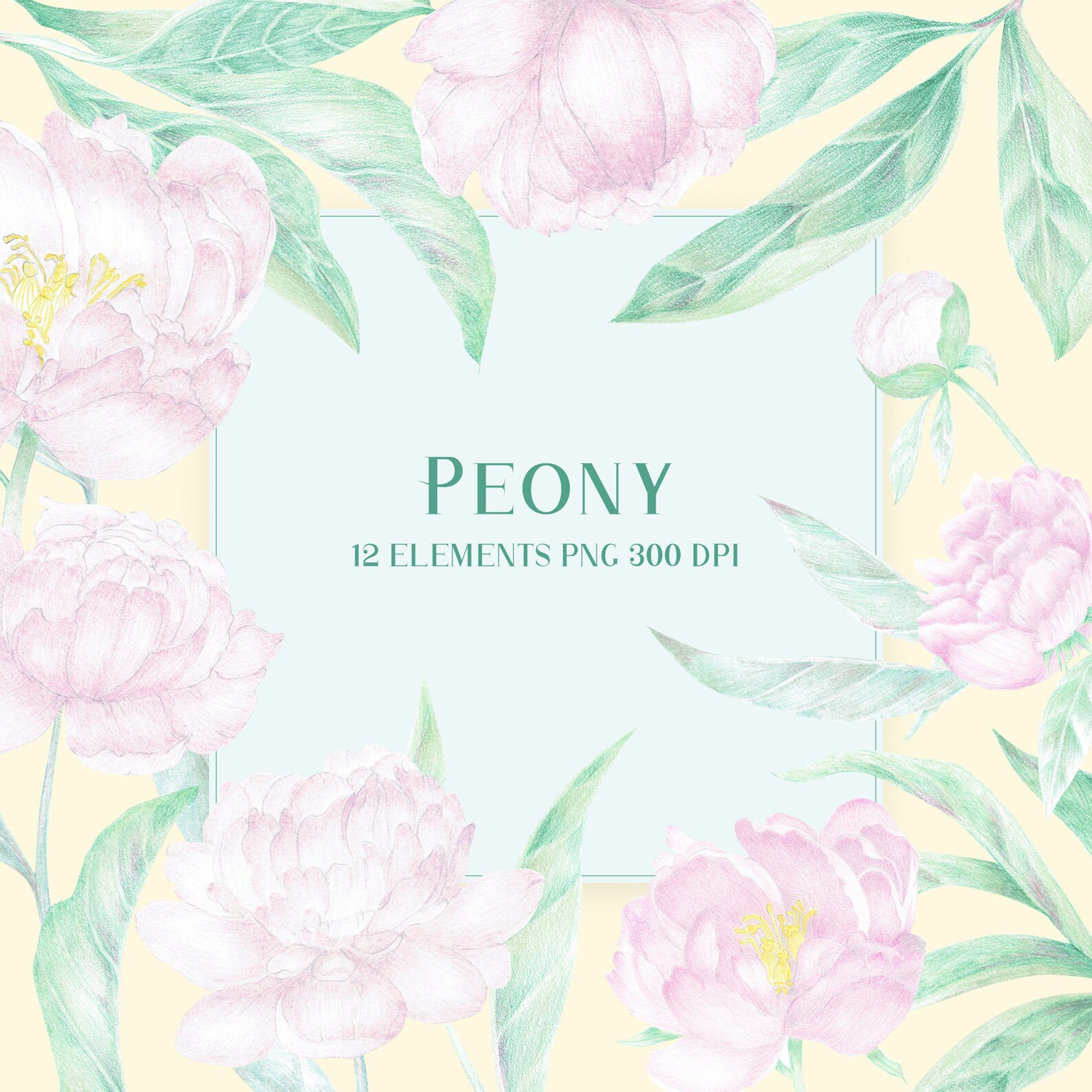 Watercolor Bundle Digital Clipart Flowers Bundle Frame - Etsy