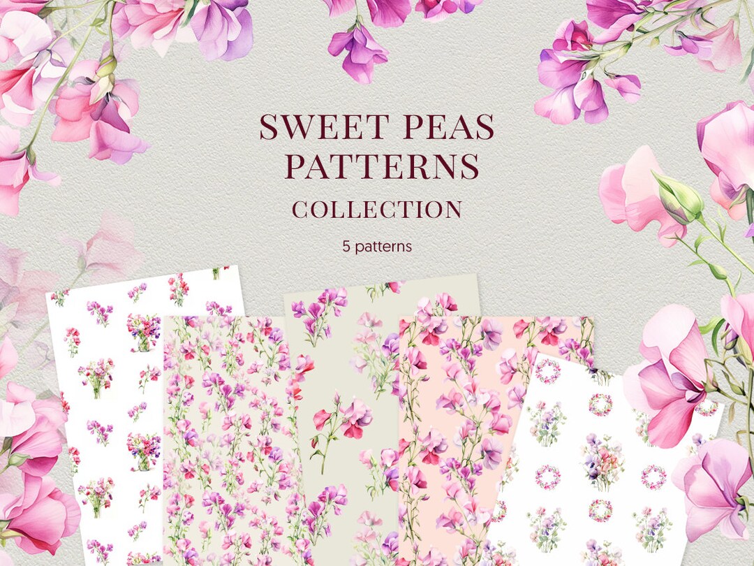 Sweet Peas Pattern, Sweet Pea Png Pattern, Watercolor Delicate Floral ...