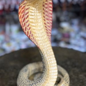 Egyptian Uraeus Cobra Statue, One of the Most Important Protection ...