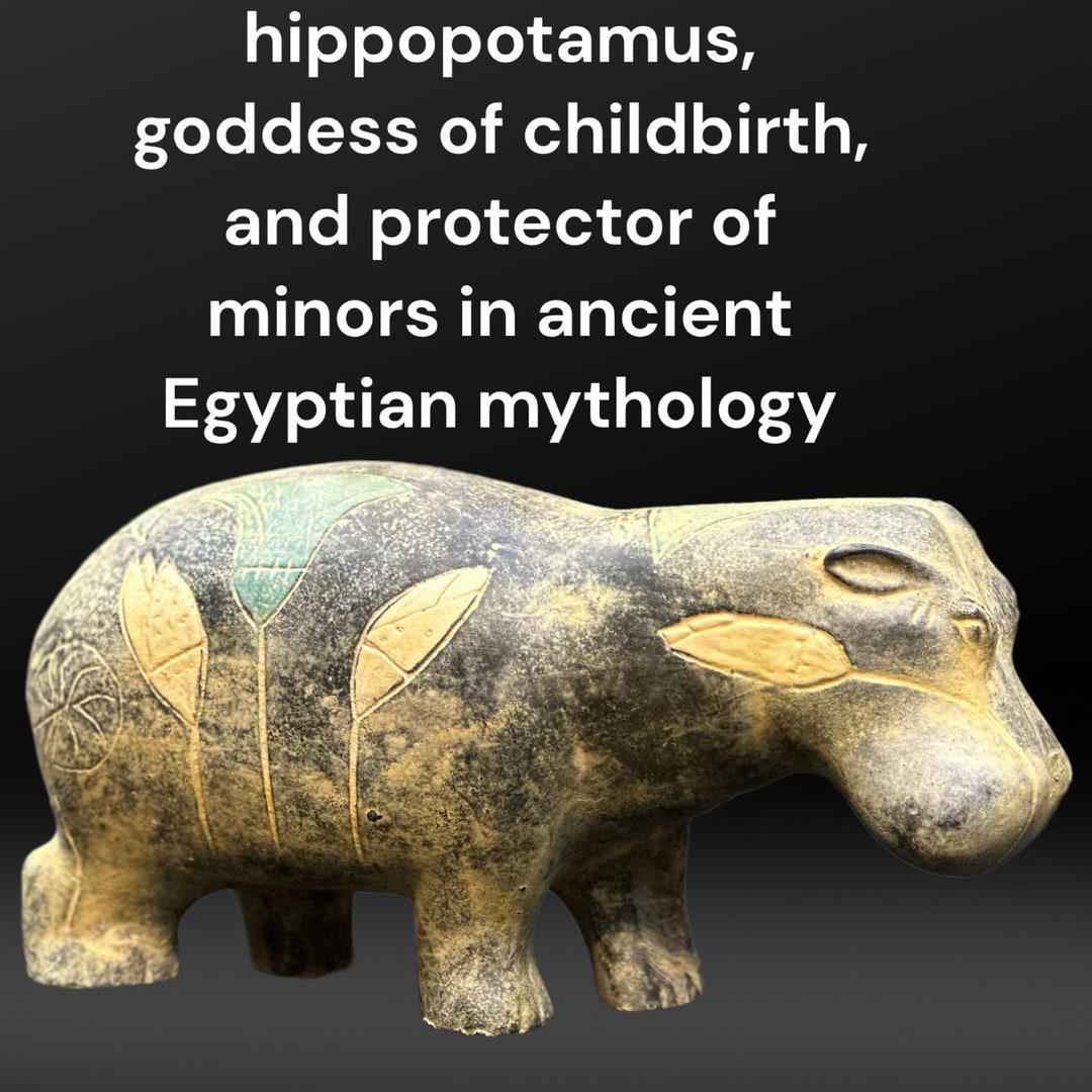 Hippopotamus Goddess of Protection-abundance in the Ancient Egyptian ...