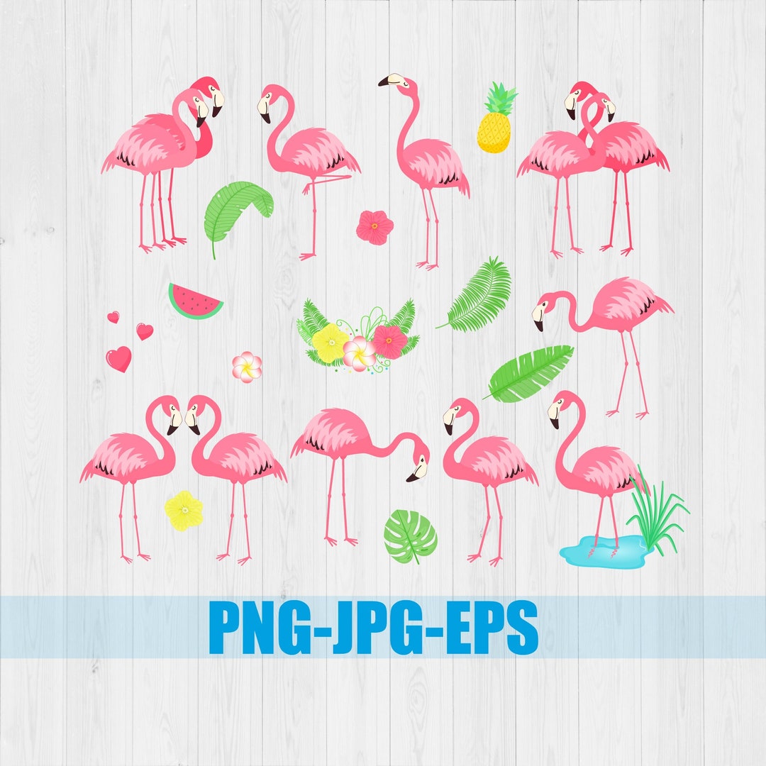 Cute Flamingos Clip Art - Etsy