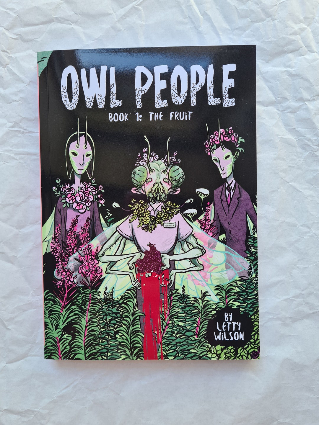 Owl People Book 1: the Fruit - Etsy