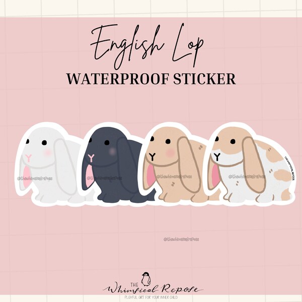 English Lop - Etsy