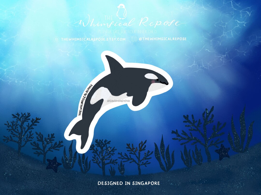 Orca Sticker for Water Bottle, Cute Whale Decal for Laptop, Humpback ...