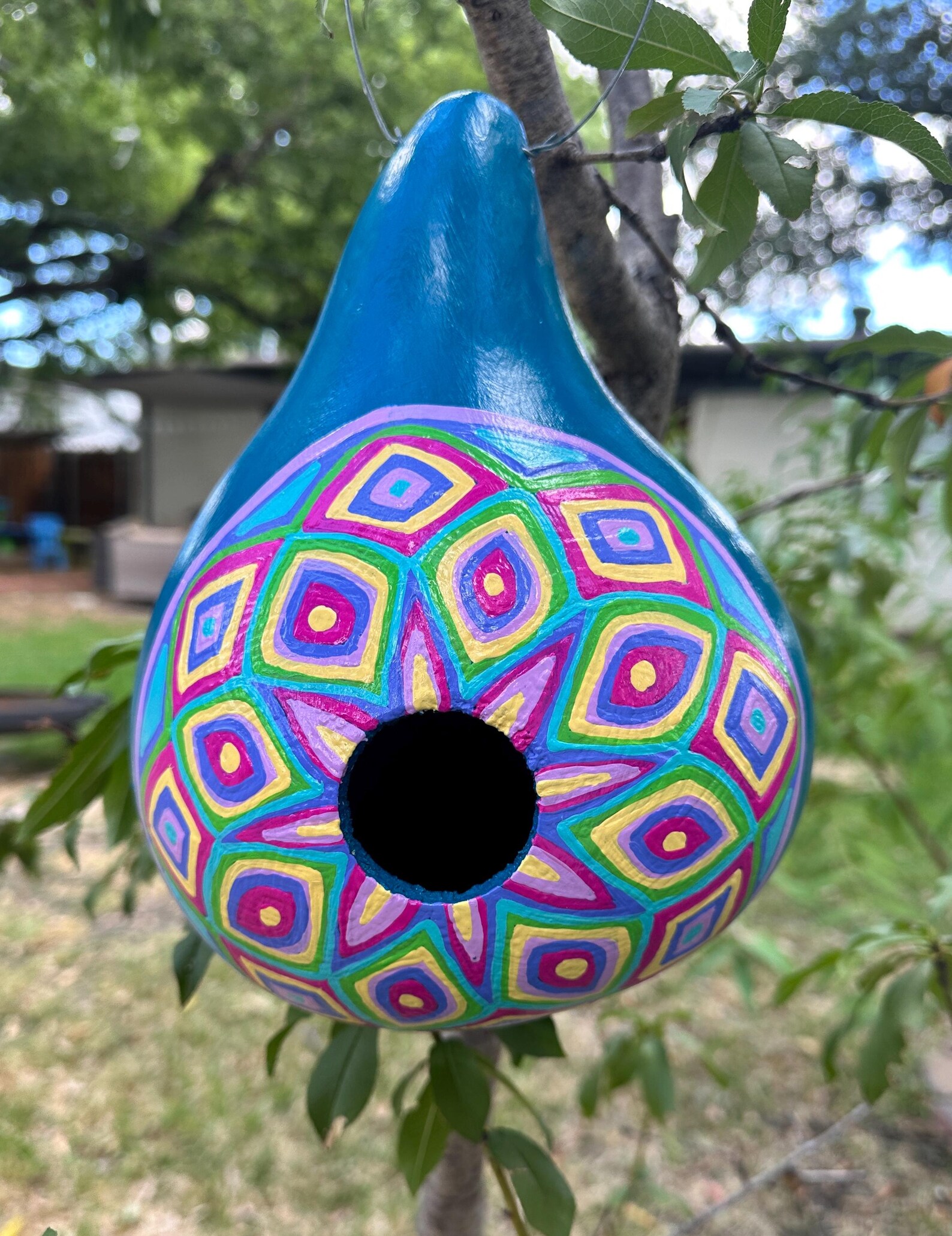 Hand Painted Blue and Purple Gourd Hanging Birdhouse - Etsy