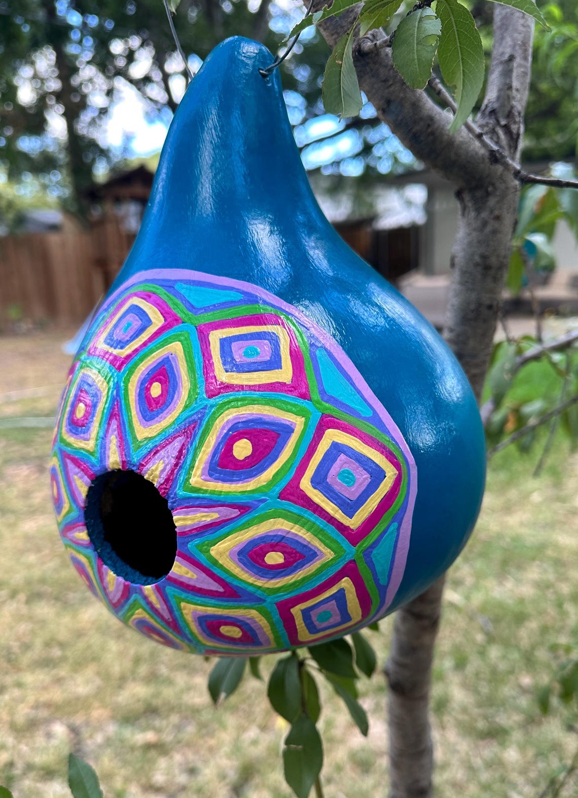 Hand Painted Blue and Purple Gourd Hanging Birdhouse - Etsy