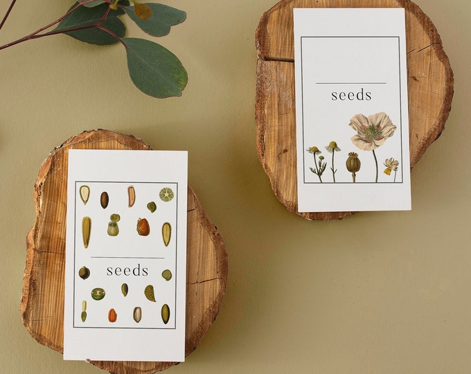 Printable Seed Saver Packets - Mini Envelopes With Illustrated Herbal ...